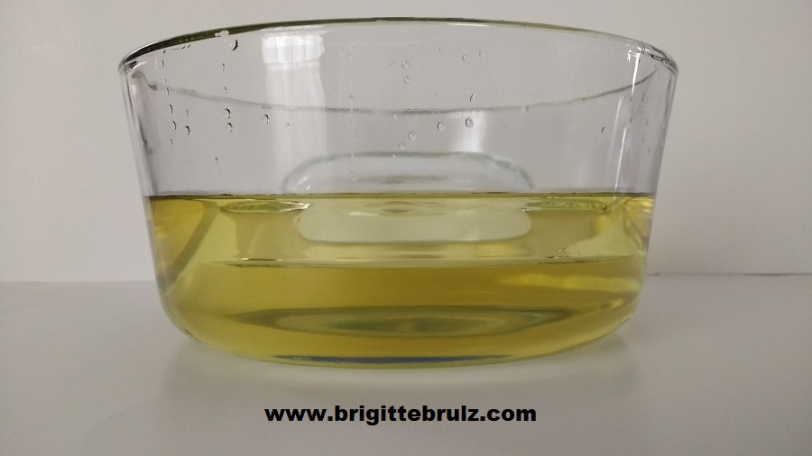 Simple Science Experiments for Kids in the Kitchen – Brigitte Brulz