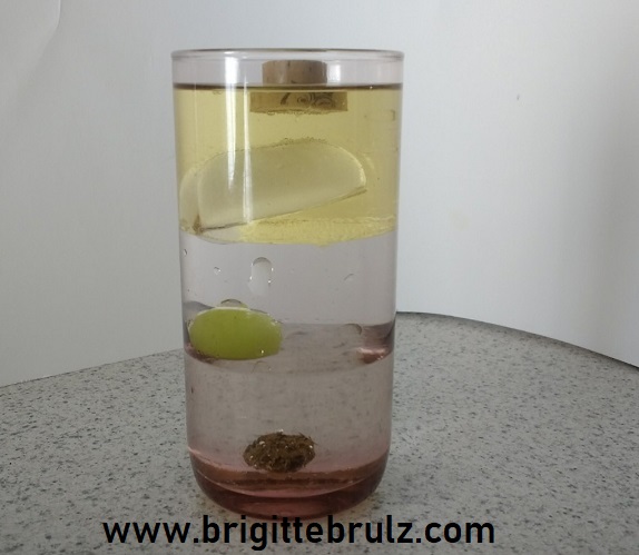 Simple Science Experiment: Density – Brigitte Brulz