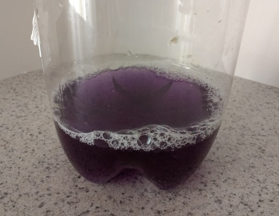 Simple Science Experiment: Chemical Reaction – Brigitte Brulz