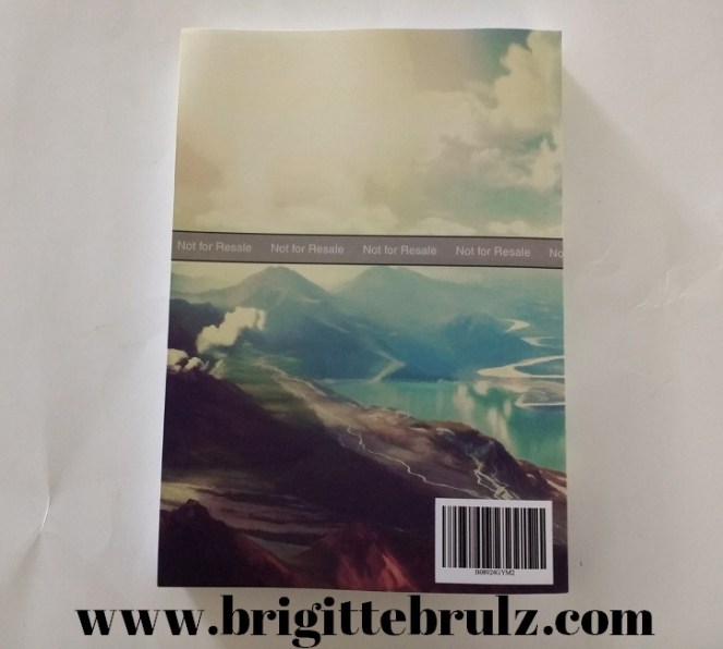 My High School Years: A Four-Year Journal is Now Available – Brigitte Brulz