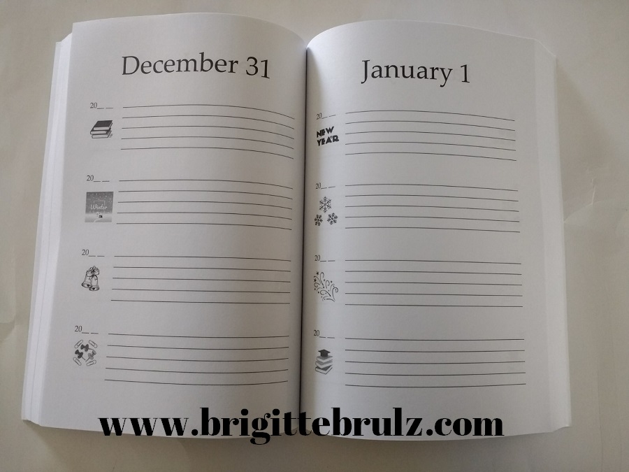 My High School Years: A Four-Year Journal is Now Available – Brigitte Brulz
