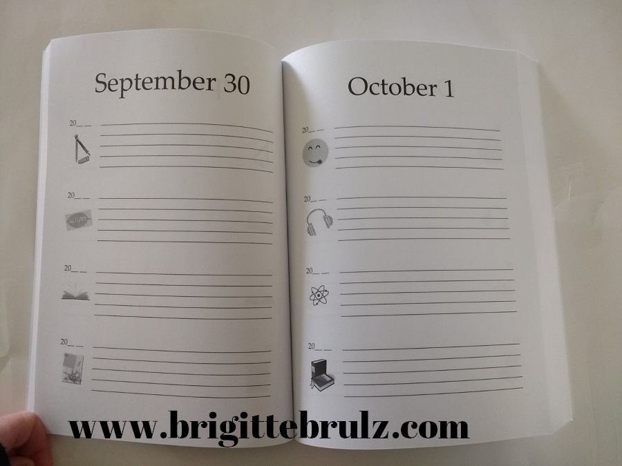 My High School Years: A Four-Year Journal is Now Available – Brigitte Brulz